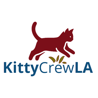 Cats for Adoption in the San Fernando Valley | Kitty Crew LA